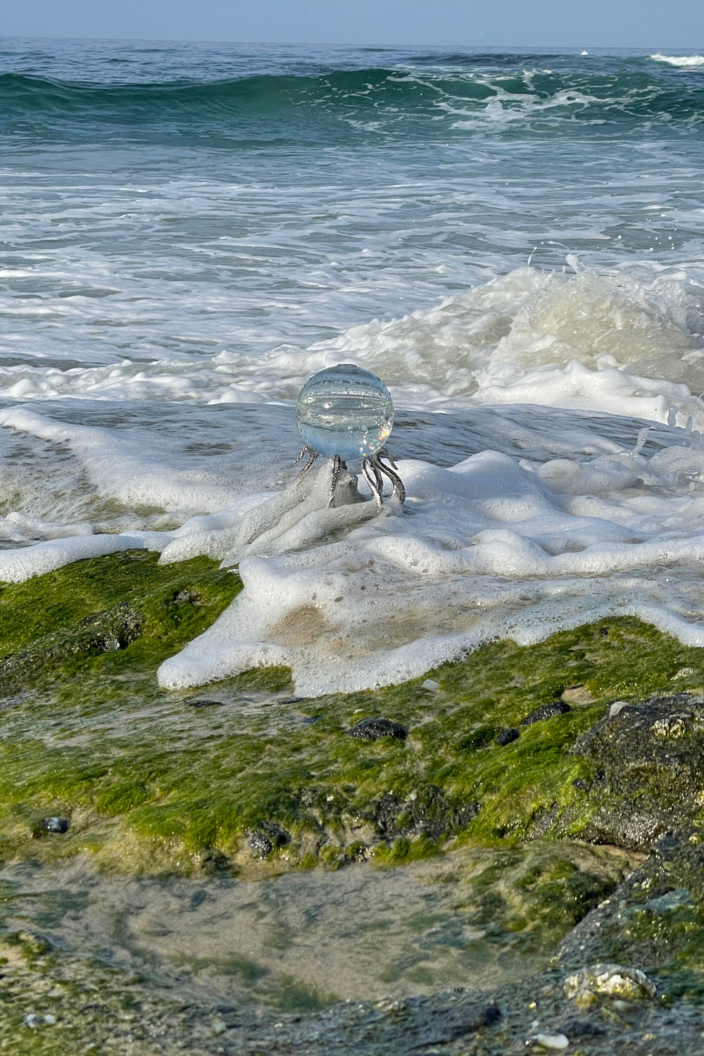 PYRO Skin Care microalgae and seawater based skin care system ...